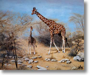 CHARLES FRACE' 20X24 Secondary Market Art: "QUIET TIME SAMBURU" - FRACE ...