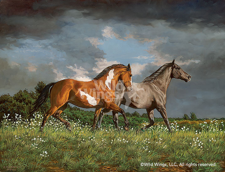Chris Cummings Original Oil Painting: "Across Heaven-Horses" - Chris Cummings