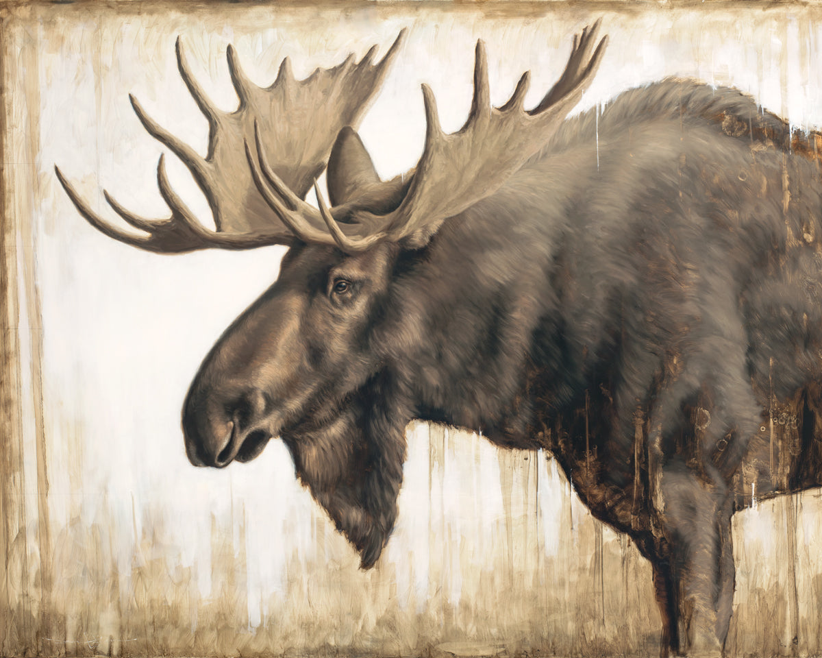 Dan Wilson Fine Art Canvas Giclee: "Majesty" - Dan Wilson