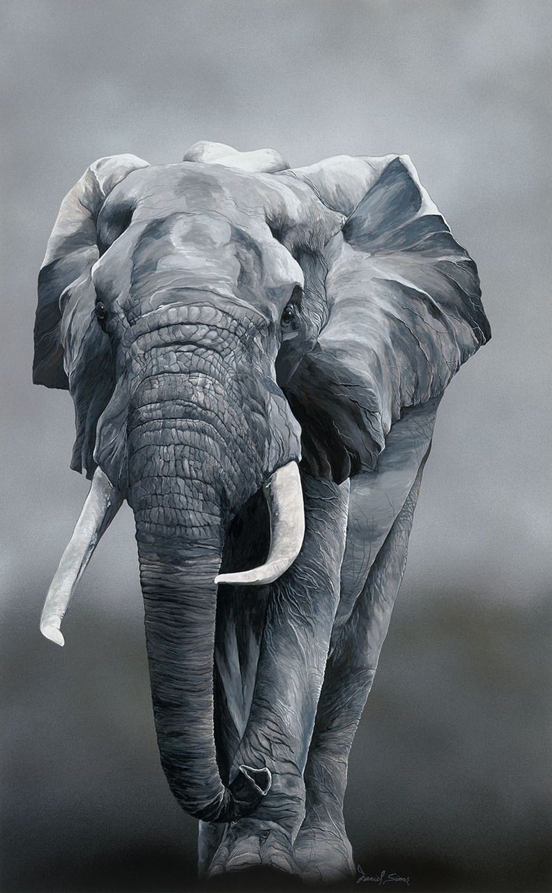 Daniel Sims Limited Edition Museum Quality Giclée: "The Matriarch ...