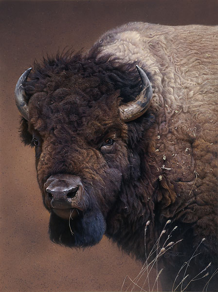 DANIEL SMITH 16X12 Secondary Market Art: "ICON OF WEST GCNV" - SMITH ...