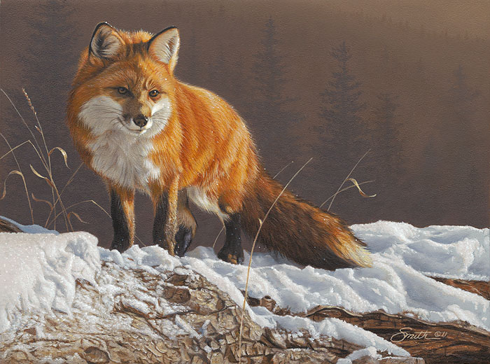 Daniel Smith Hand Signed and Numbered Limited Edition Gallery Wrap ...