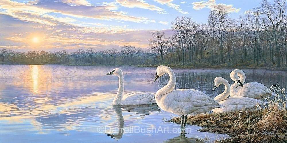 Darrell Bush Hand Signed and Numbered Limited Edition Giclee:"Daybreak ...