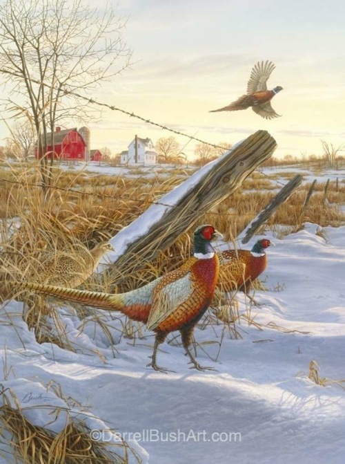 Darrell Bush Hand Signed and Numbered Limited Edition Giclee:"Threes a ...