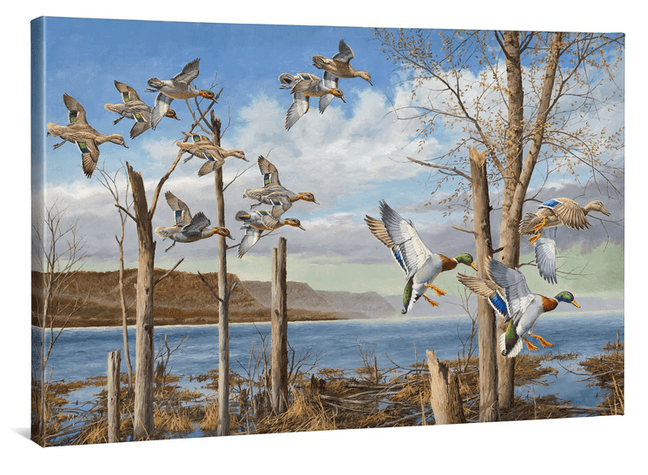 David A. Maass 24x36 Gallery Wrap Canvas:"On the Upper Mississippi ...