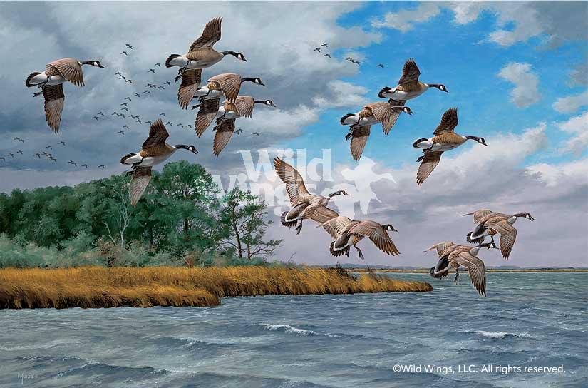 David A. Maass Hand Signed and Numbered Limited Edition Artist Proof ...