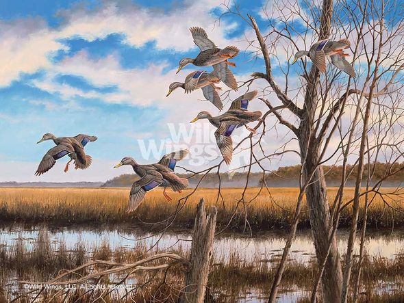 David A. Maass Hand Signed and Numbered Limited Edition Canvas:"Pride ...