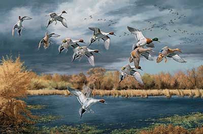 David A. Maass Handsigned and Numbered Limited Edition Artist Proof ...