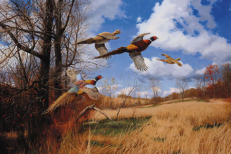 David A. Maass Signed and Numbered Limited Edition Artist Proof Print ...