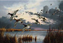 David Maas Limited Edition Print: "After the Squall - Bluebill" - David ...