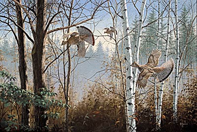 David Maas Limited Edition Print: "Three Birds Up- Ruffed Grouse ...