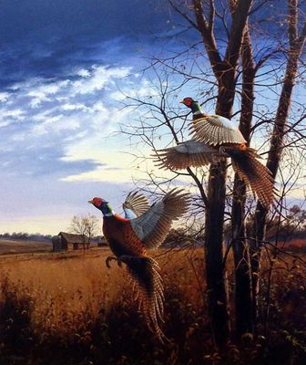 David Maass Artist Proof:"Evening Flight-Pheasants" - David Maass