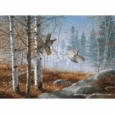 David Maass Artist Proof Limited Edition Print:"Morning Double Grouse ...