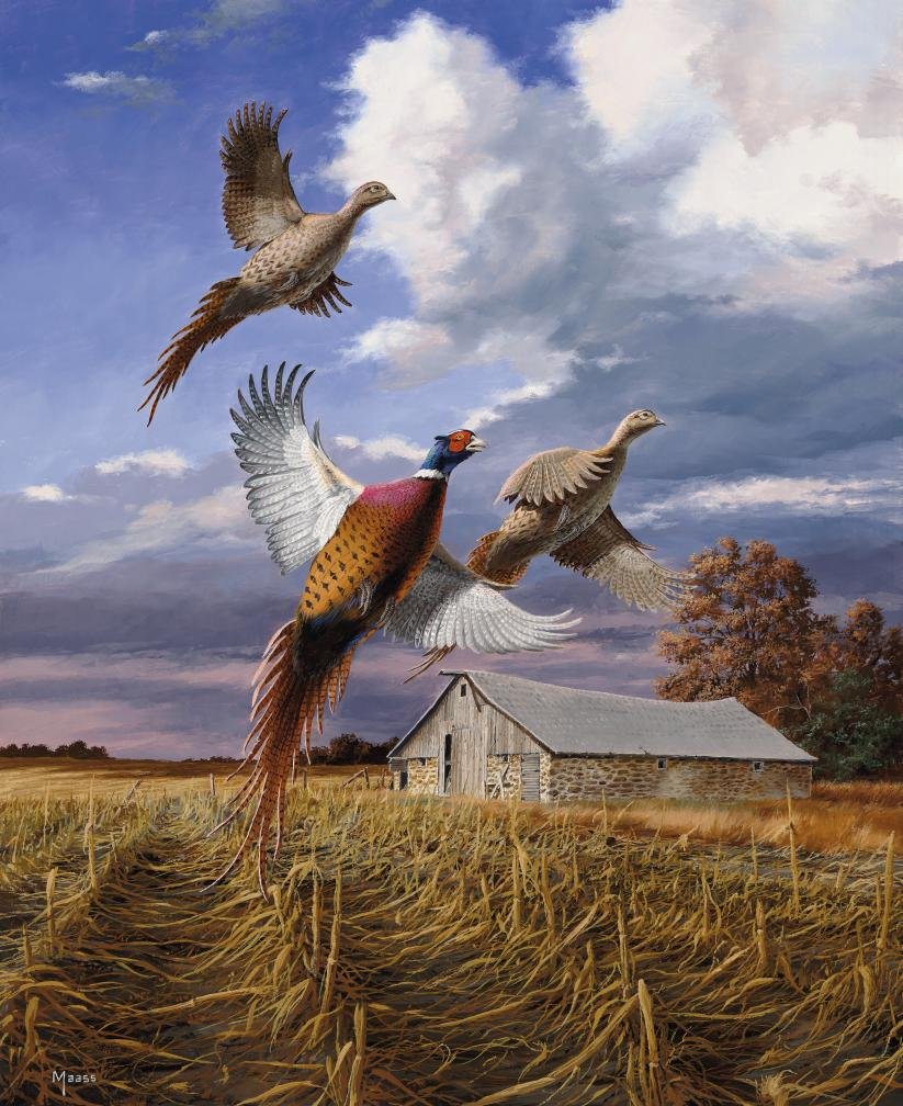 David Maass Hand Signed & Number Limited Edition:"Autumn Brilliance ...