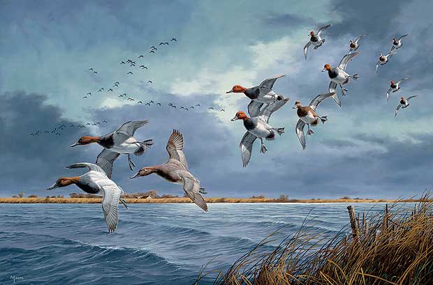 David Maass Limited Edition Artist Proof Print:"Turbulance Over Delta ...
