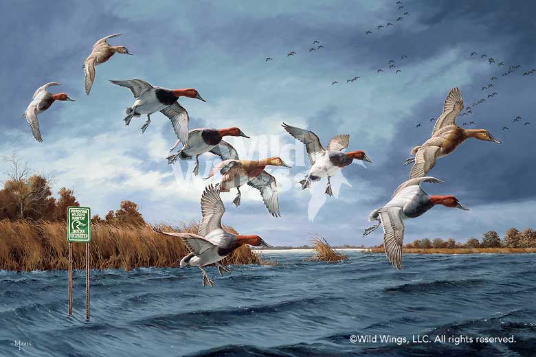 David Maass Limited Edition Artist Proof Print:"Fruits of Your Labor ...