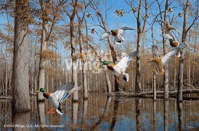 David Maass Artist Signed Limited Edition Print:"Heart of the Timber ...