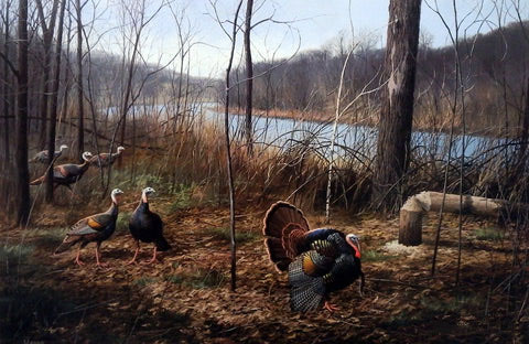 David Maass Print-Signed and Numbered:"River's Edge Courtship- Wild ...