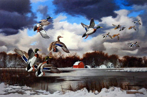 David Maass Print-Signed and Numbered:"Season's End-Mallards" - David Maass