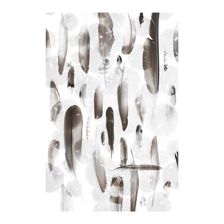 Debbie Wolff Open Edition Canvas Giclee :"Sandollars & Feathers ...