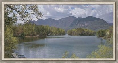 DIANE WHITEHEAD 36X27 GALLERY WRAPPED CANVAS:"SHINY FOX" - DIANE WHITEHEAD