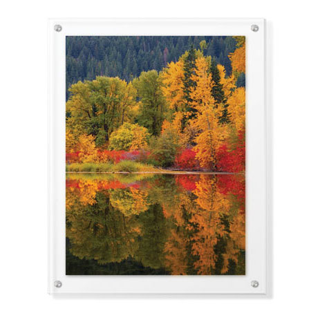 Donald Paulson Limited Edition Ready to Hang Giclee on Clear Acrylic ...