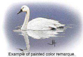 Federal Duck Stamp PRINT 2023-24 Limited Edition Print by Joseph ...