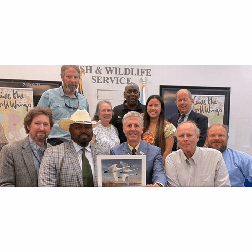 Federal Duck Stamp PRINT 2023-24 Limited Edition Print by Joseph ...