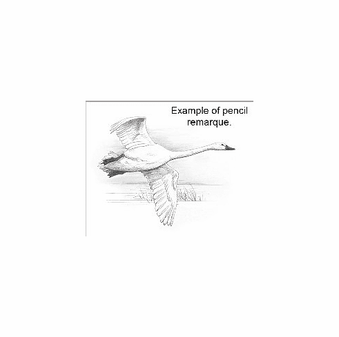 Federal Duck Stamp PRINT 2023-24 Limited Edition Print by Joseph ...