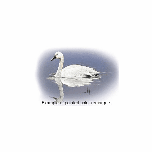 Federal Duck Stamp PRINT 2023-24 Limited Edition Print by Joseph ...
