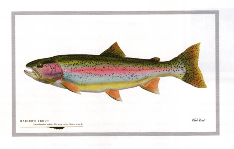 Flick Ford Artist Handsigned Open Edition Giclee Print on Paper ...