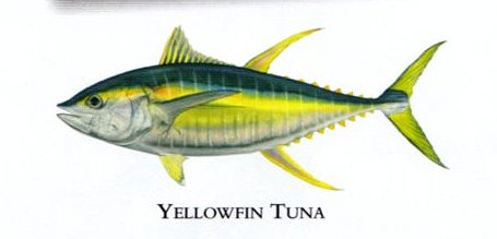 Flick Ford Artist Handsigned Open Edition Giclee Print on Paper ...