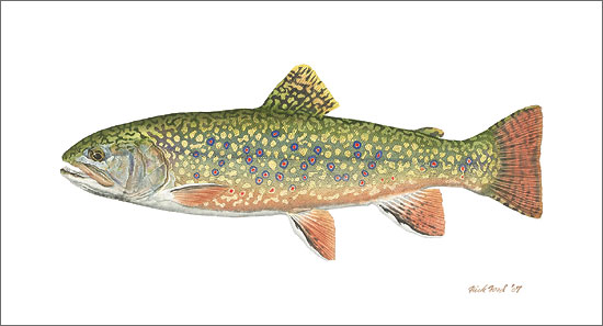 Flick Ford Handsigned and Numbered Fine Art SmallWorks™ Giclée Canvas ...