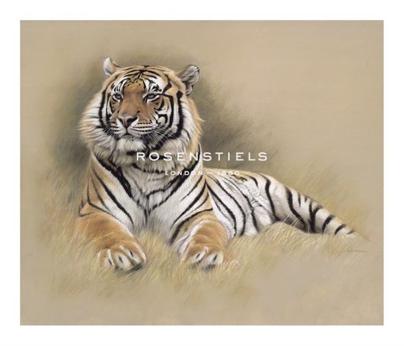 Gary Stinton Hand Numbered Limited Edition Print on Paper :"Tiger ...