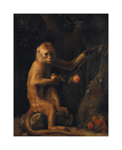 George Stubbs Hand Numbered Limited Edition Print on Paper :"A Monkey ...