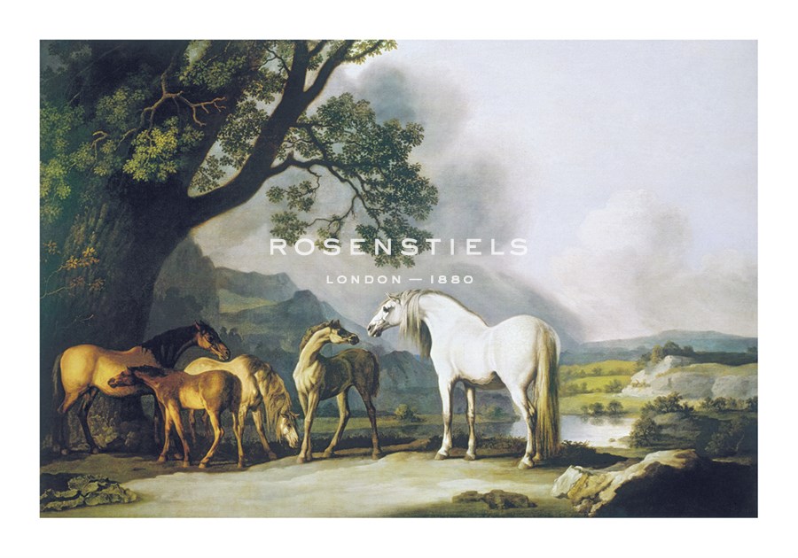 George Stubbs Hand Numbered Limited Edition Print on Paper :"Grey ...