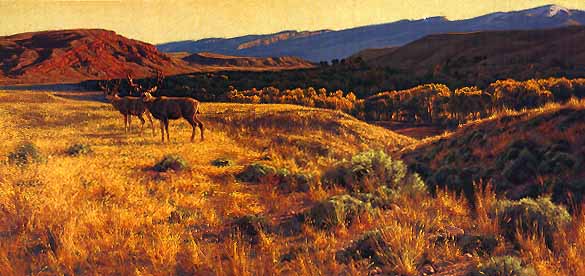 Greg Beecham Limited Edition Print:"Step Into The Light " - Greg Beecham