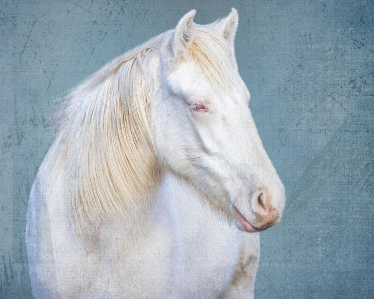 Greg Sargent Fine Art Canvas Giclee: "LeBlue" - Greg Sargent