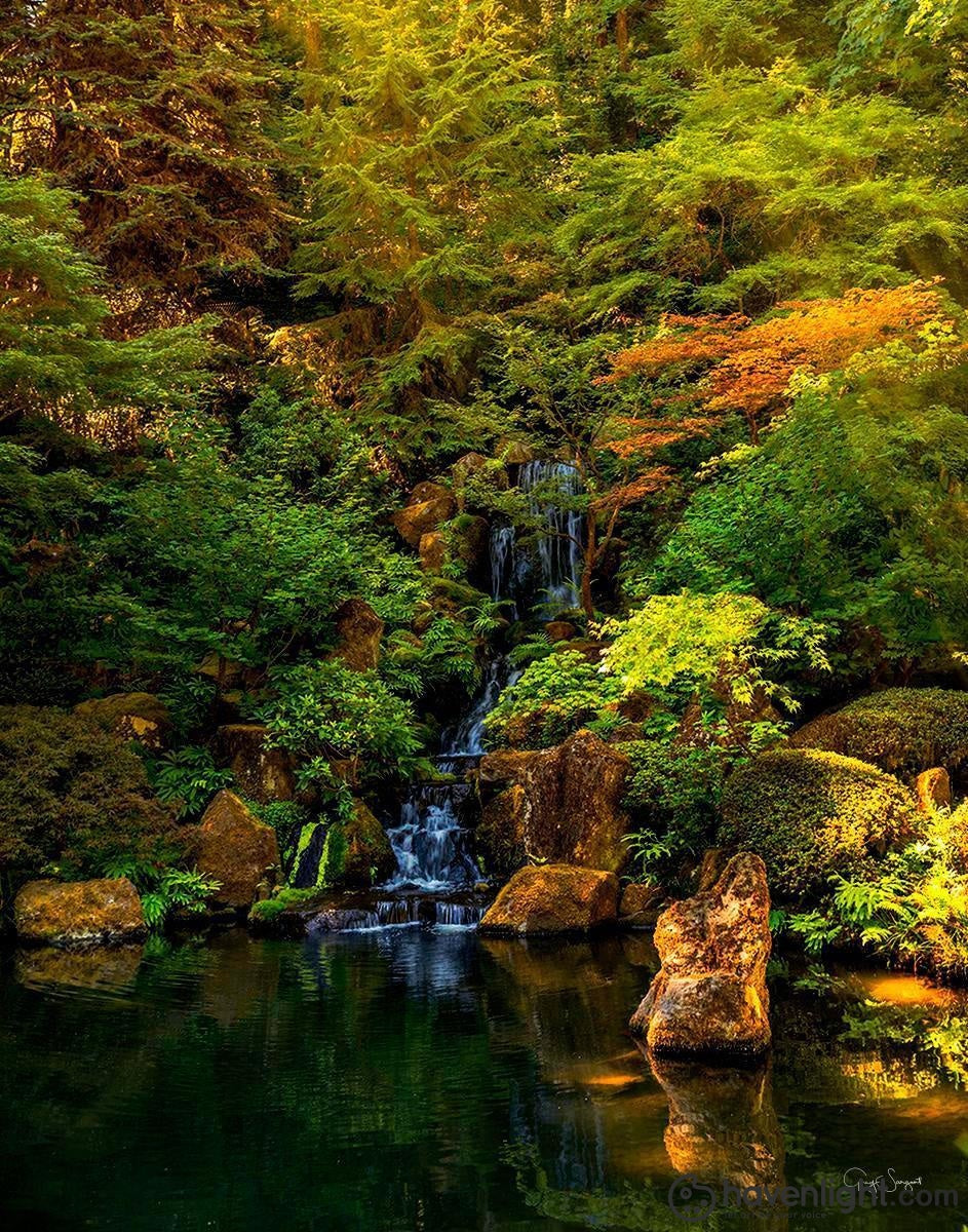 Greg Sargent Fine Art Canvas Giclee: "Secluded Pond" - Greg Sargent