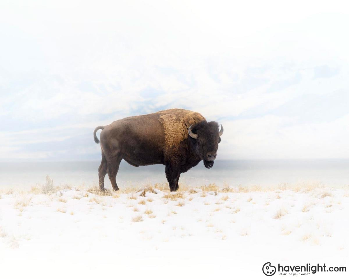 Greg Sargent Fine Art Canvas Giclee: "Winters Ridge" - Greg Sargent