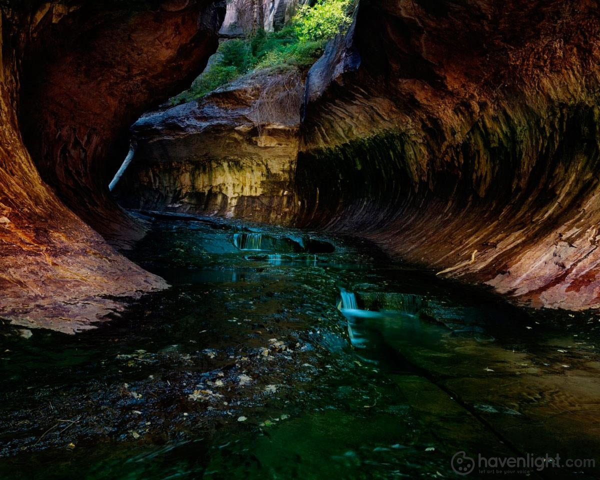 Greg Sargent Fine Art Canvas Giclee: "Zion's Abyss" - Greg Sargent