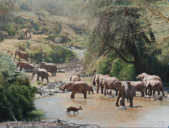 Guy Combes Hand Signed and Numbered Limited Edition Canvas Giclee ...