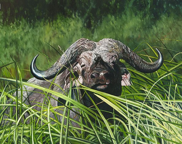 Guy Combes Handsigned and Number Giclee on Canvas :"Mbogo Mkuu" - Guy ...