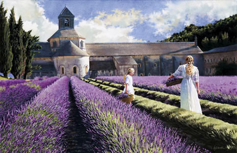 Heide Presse Limited Edition Print:"Lavender " - Heide Presse