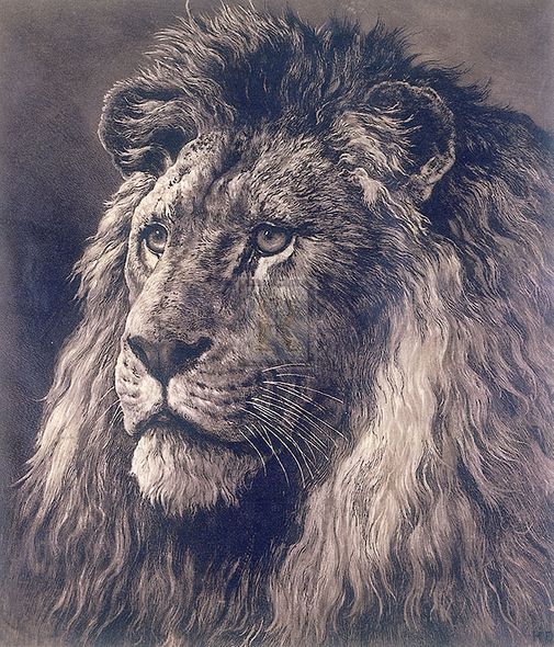 Herbert Dicksee Hand Numbered Limited Edition Print on Paper :"Lion ...