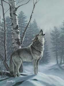 JAMES A MEGER 18X24 Secondary Market Art: "ALPHA TIMBERWOLF" - MEGER ...