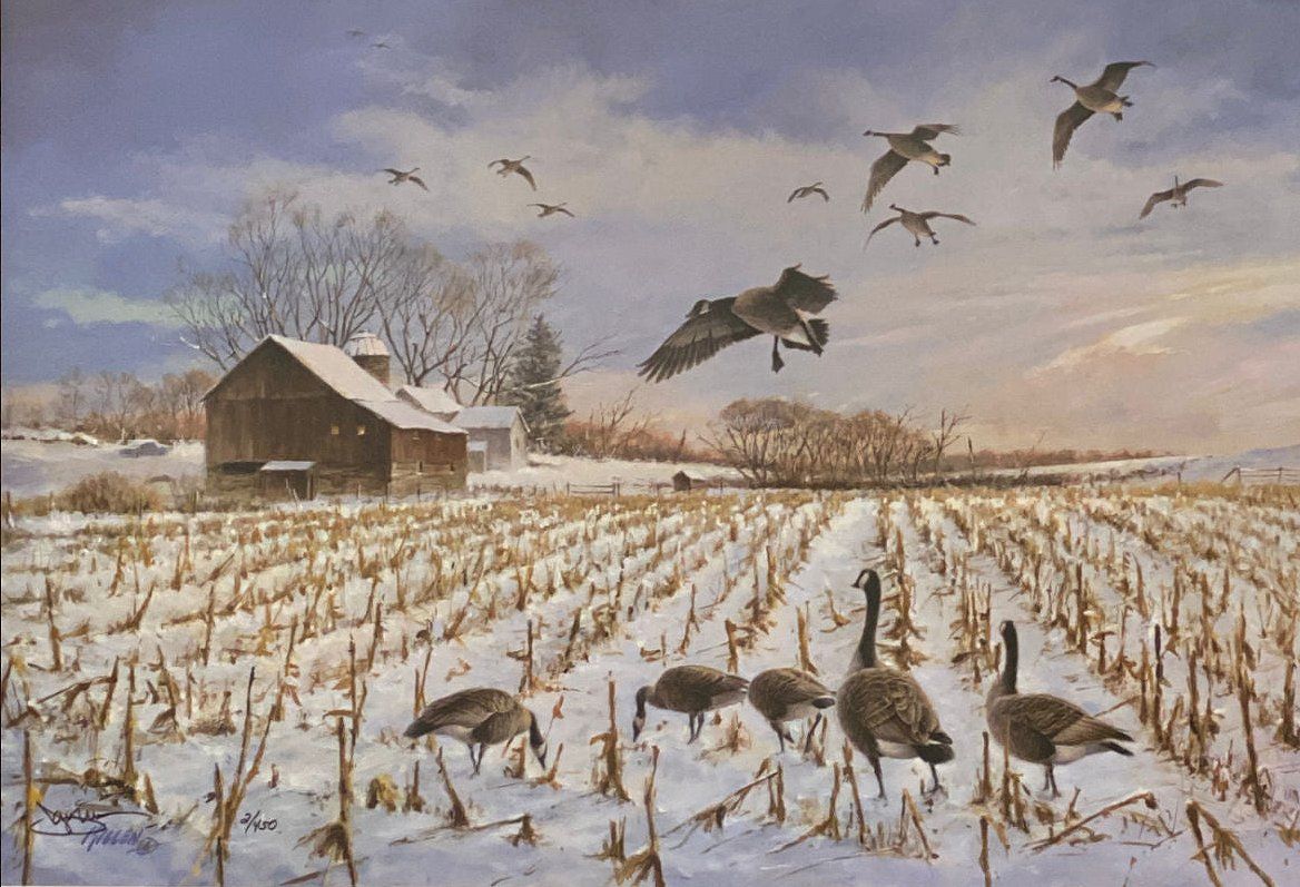 James Killen Artist Proof:"The Gathering-Canada Geese " - James Killen