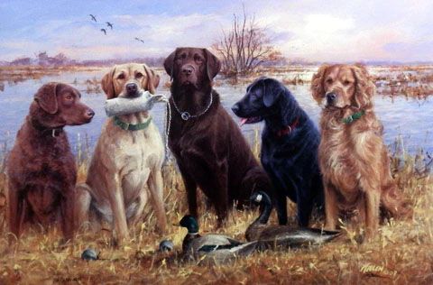 James Killen Artist Proof:"Duck Masters" - James Killen