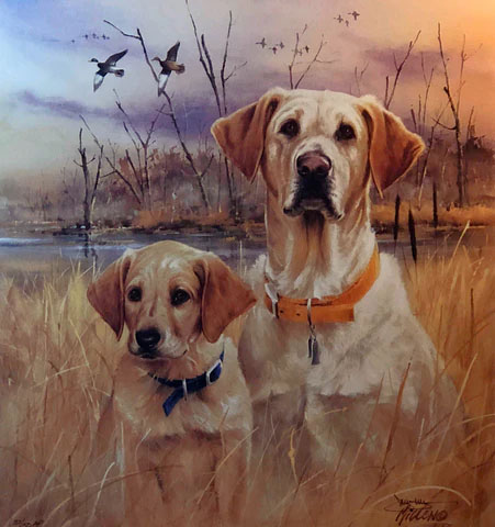 James Killen Print- Limited Edition:"First Lesson Yellow Lab and Pup ...