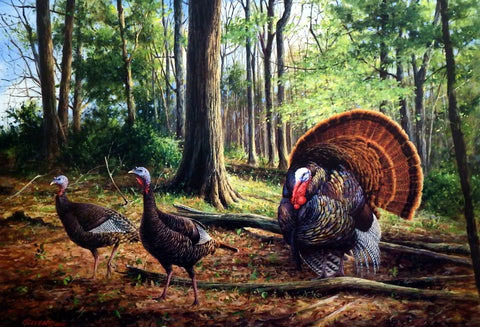 James Killen Print-Signed and Numbered:"The Patriot Wild Turkey Print ...
